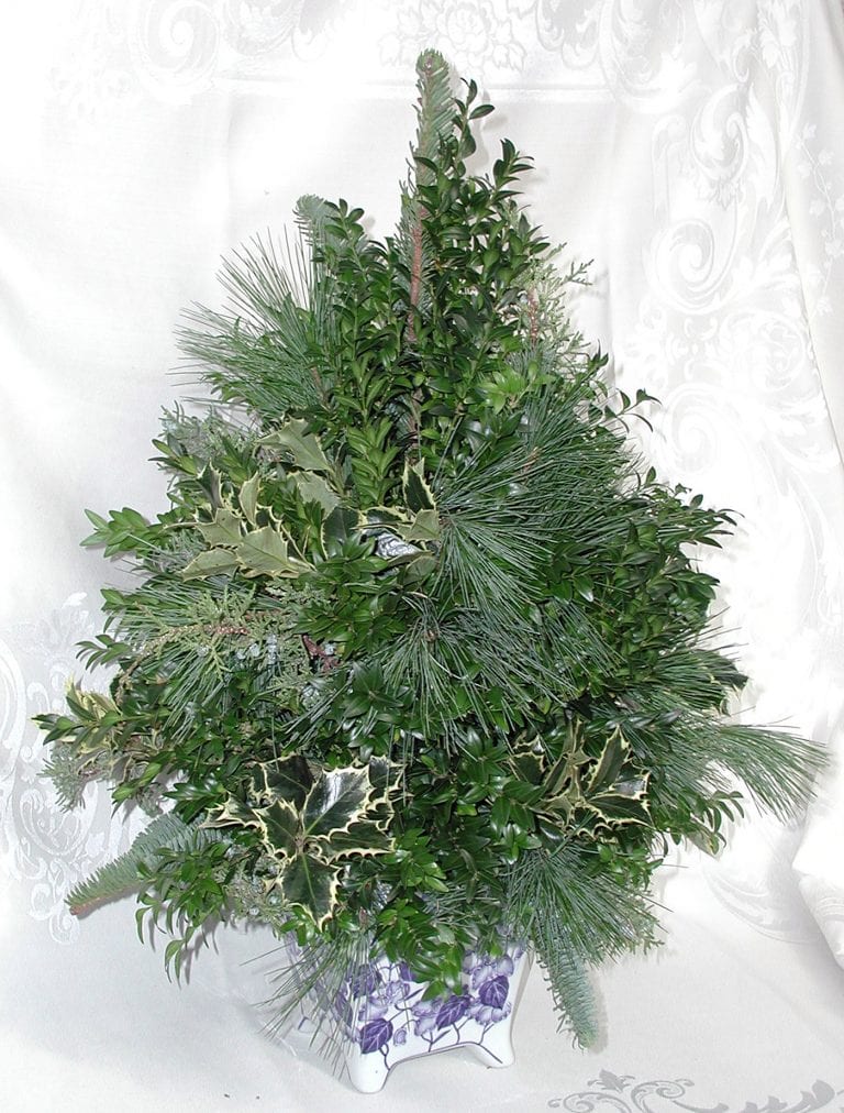 How To Make A Boxwood Tree in Oasis - Hyannis Country Garden