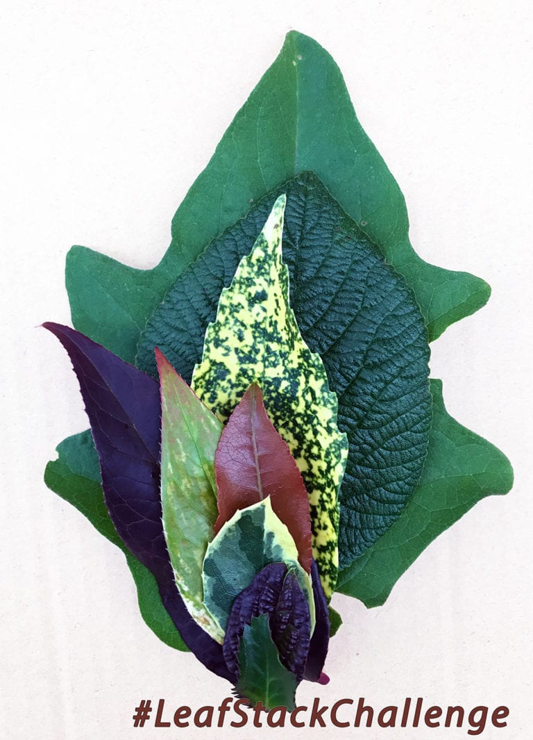 Garden Design and The Leaf Stack Challenge - Hyannis Country Garden