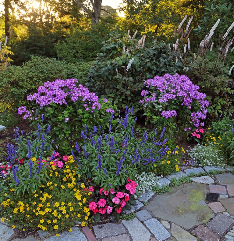 How to Grow Cutting Flowers Cutting Gardens - Hyannis Country Garden