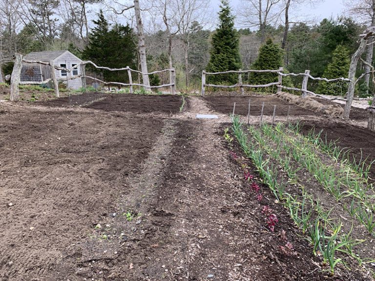Spring Planting on Cape Cod - Hyannis Country Garden