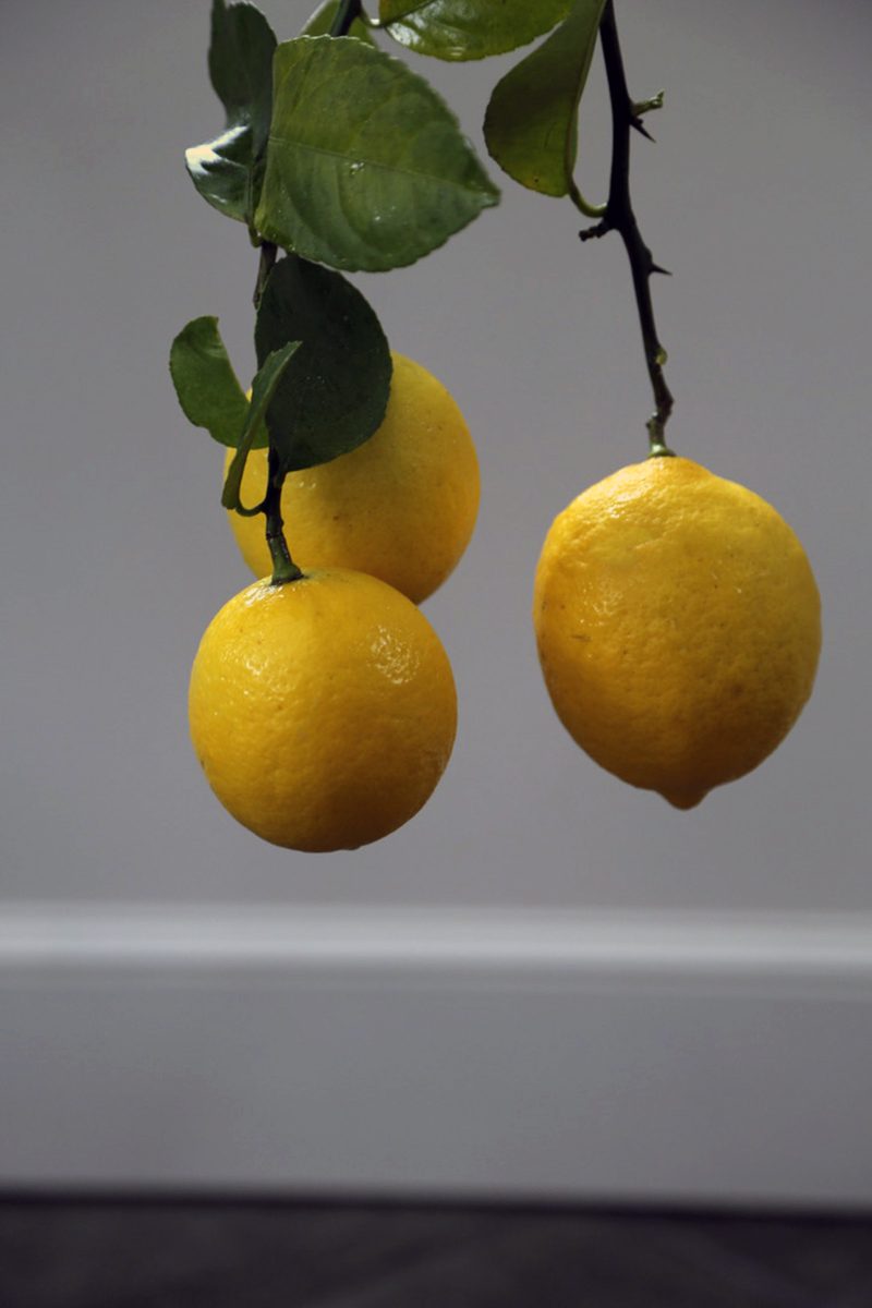 lemons inside - Hyannis Country Garden