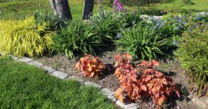 5 Tips for Early Season Fertilizing - Hyannis Country Garden