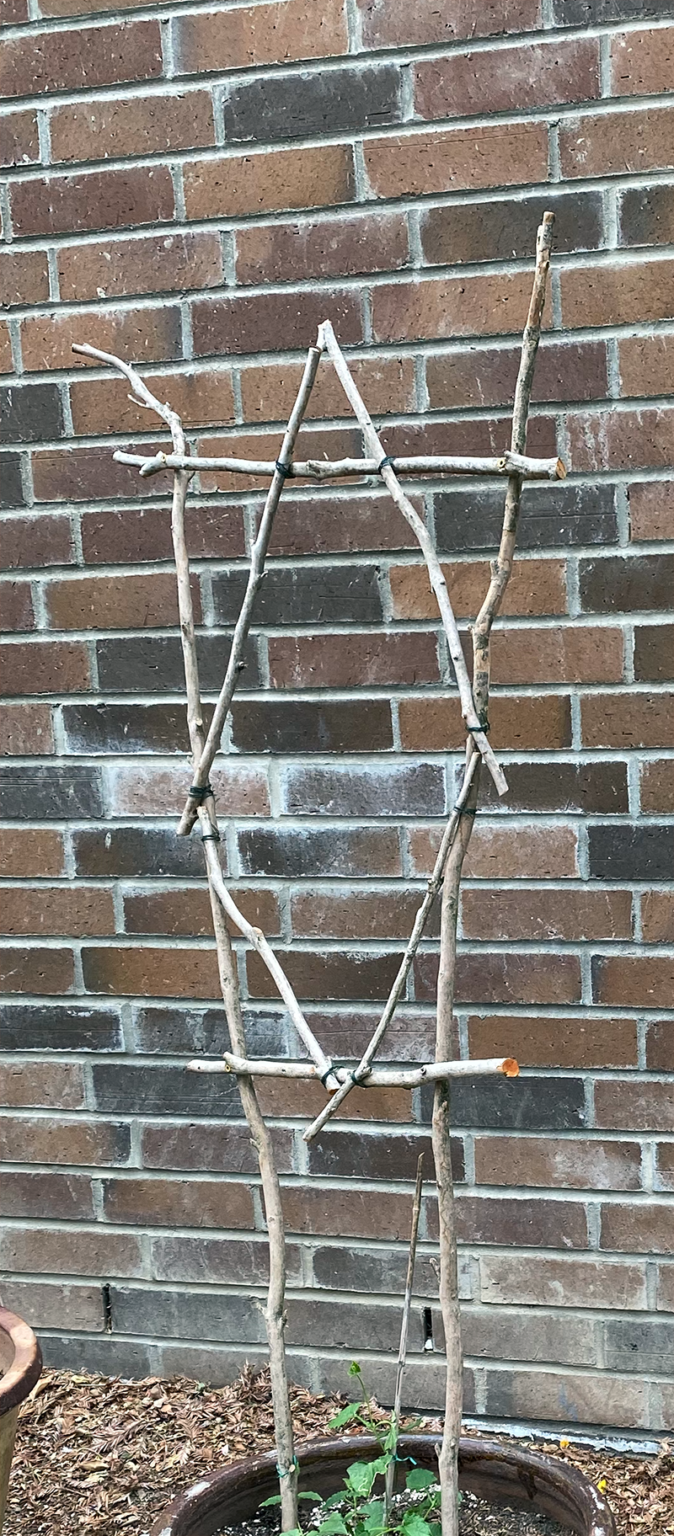 stick-arbor - Hyannis Country Garden