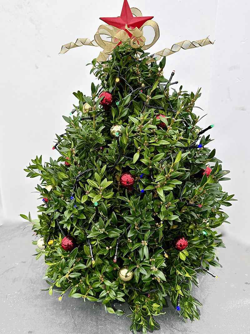 Decorating A Boxwood Tree - Hyannis Country Garden