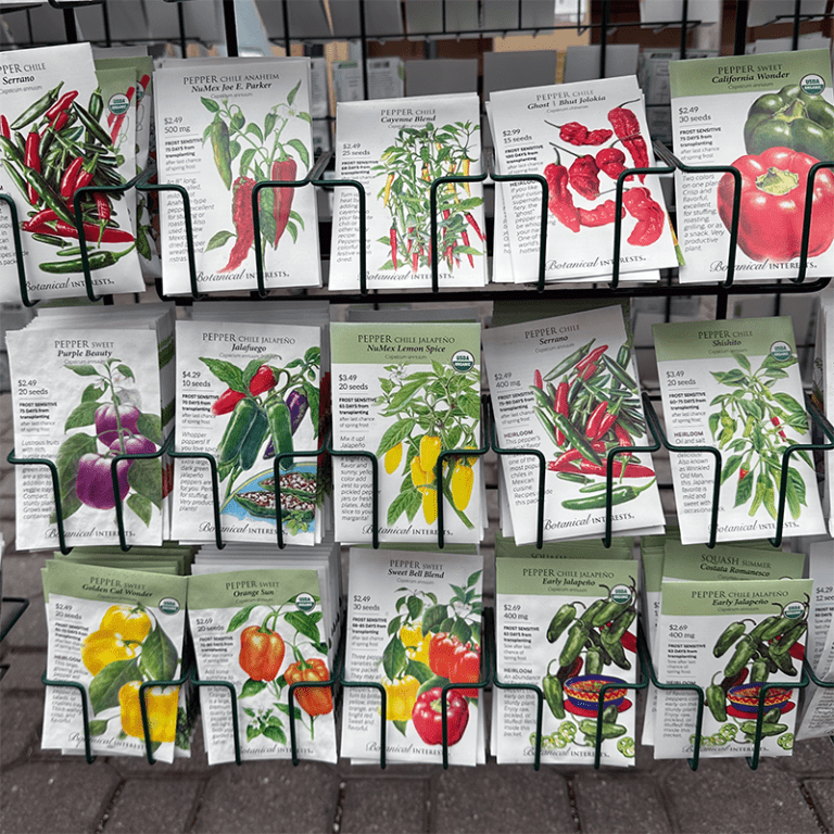 Growing Peppers on Cape Cod - Hyannis Country Garden