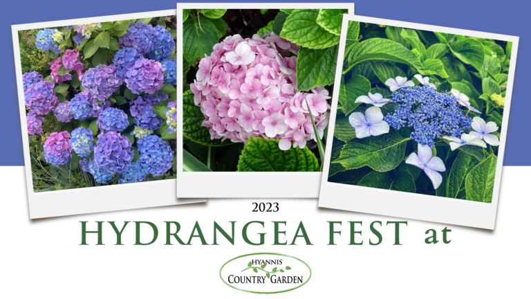 Events - Hyannis Country Garden