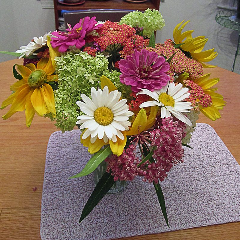 Annuals For Bees, Butterflies & Bouquets - Hyannis Country Garden