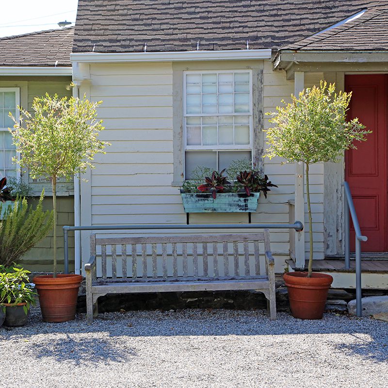 Growing Trees and Shrubs in Pots - Hyannis Country Garden