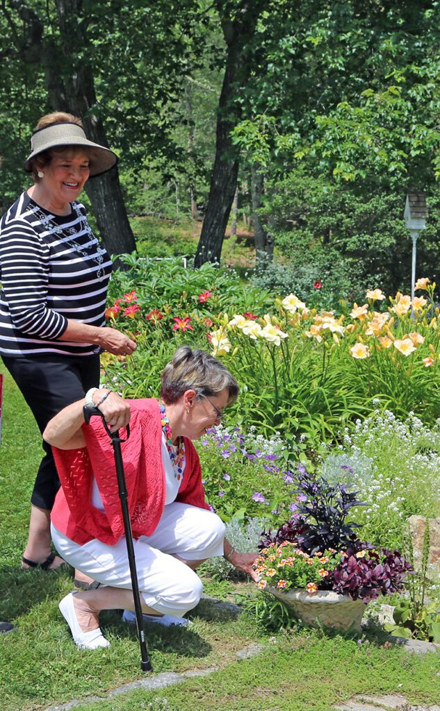 Cape Cod Hydrangea Festival 2023 - Hyannis Country Garden