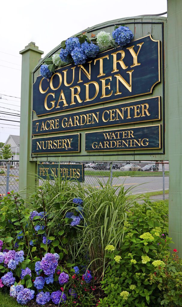 Cape Cod Hydrangea Festival 2023 - Hyannis Country Garden