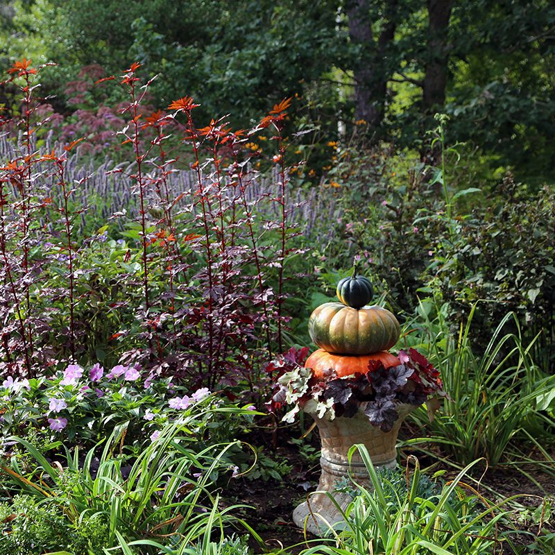 The End of Summer Perennial Garden - Hyannis Country Garden