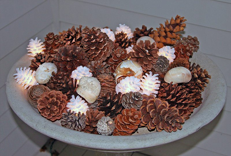 Seashells and Pinecones - Hyannis Country Garden