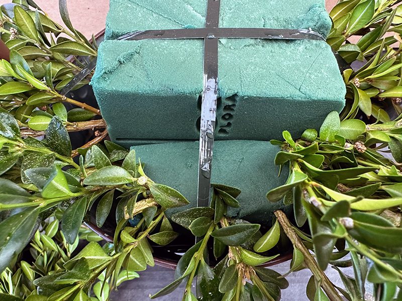 Events Archive - Hyannis Country Garden