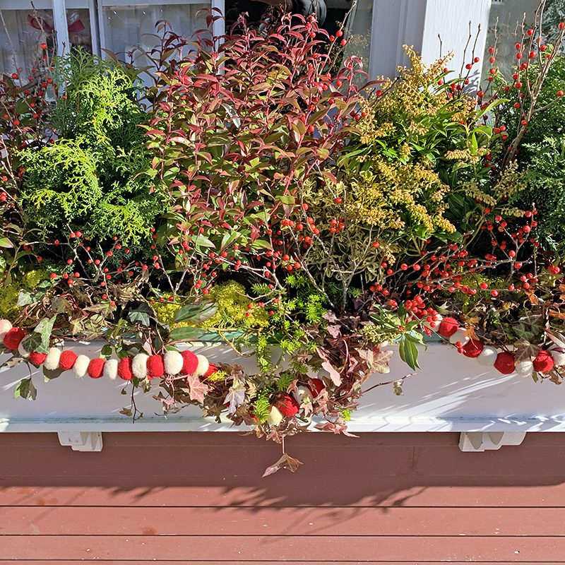 Winter & Holiday Container Ideas - Hyannis Country Garden