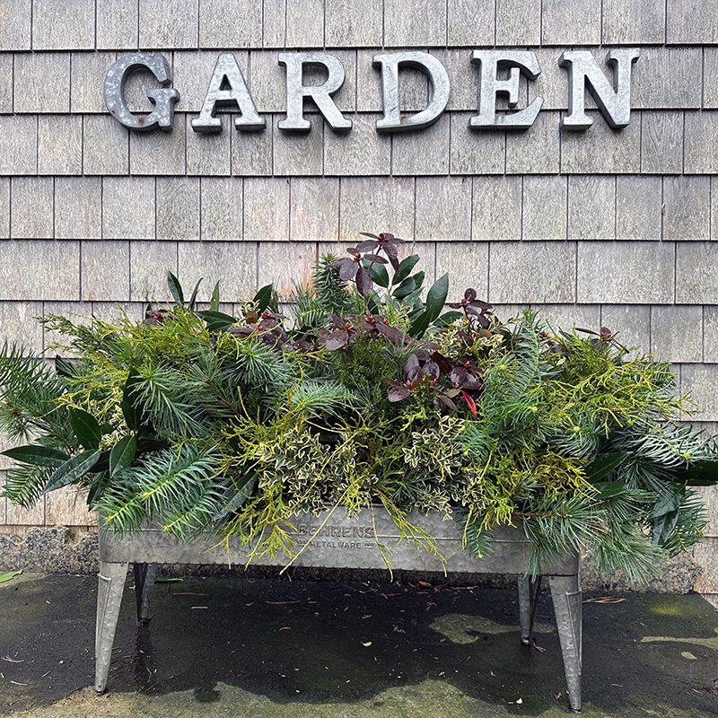 Winter & Holiday Container Ideas - Hyannis Country Garden