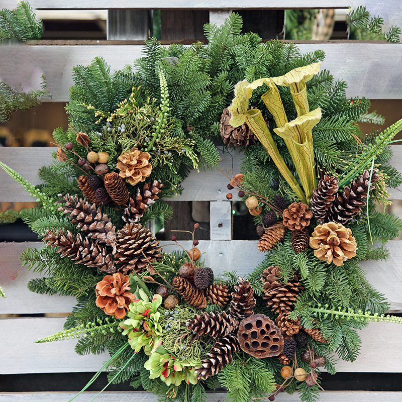 Seashells and Pinecones - Hyannis Country Garden