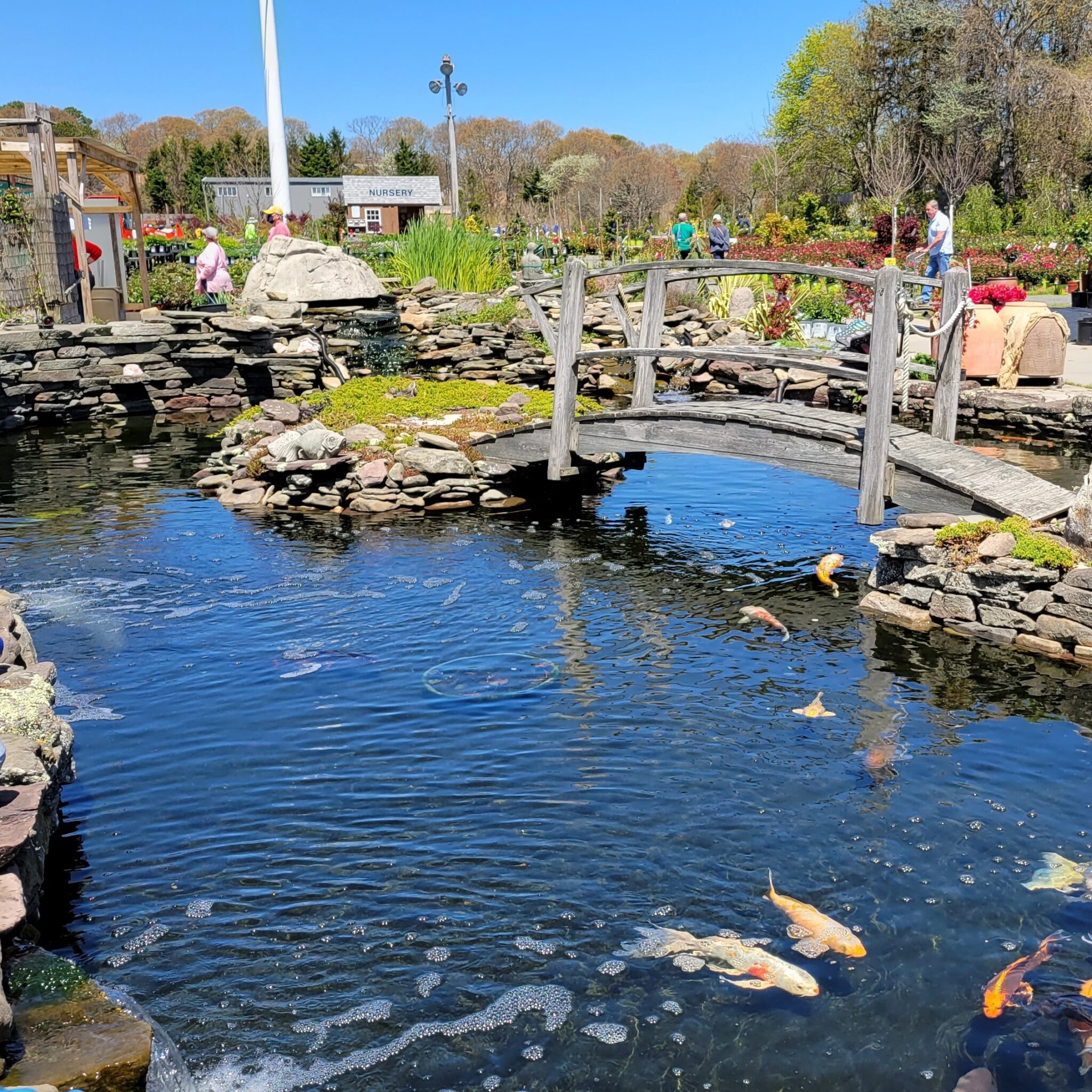 pond square - Hyannis Country Garden