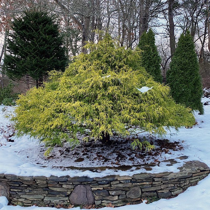 Garden design Archives - Hyannis Country Garden