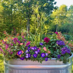 Home - Hyannis Country Garden