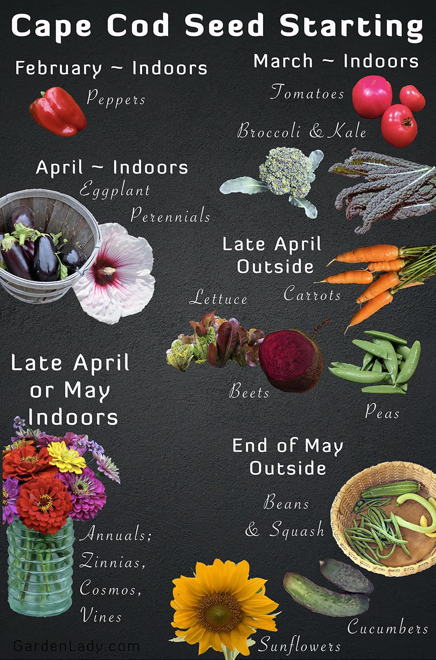 Seed Starting on Cape Cod - Hyannis Country Garden