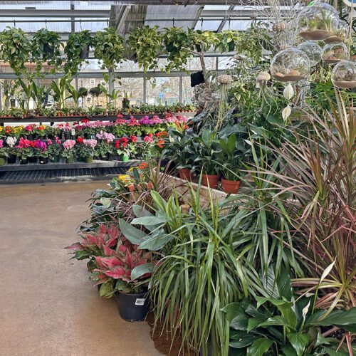 Home - Hyannis Country Garden