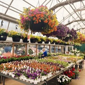 Home - Hyannis Country Garden