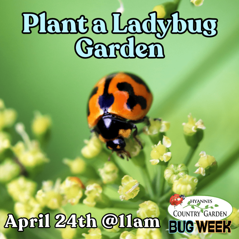 April Events Graphics Square (11) - Hyannis Country Garden